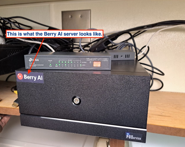 My Berry AI system is not working - How do I restart my Berry AI server ...